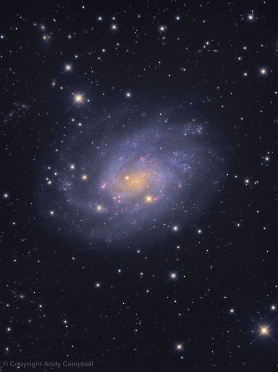 Distant Galaxy NGC 300 | Andy's Astropix