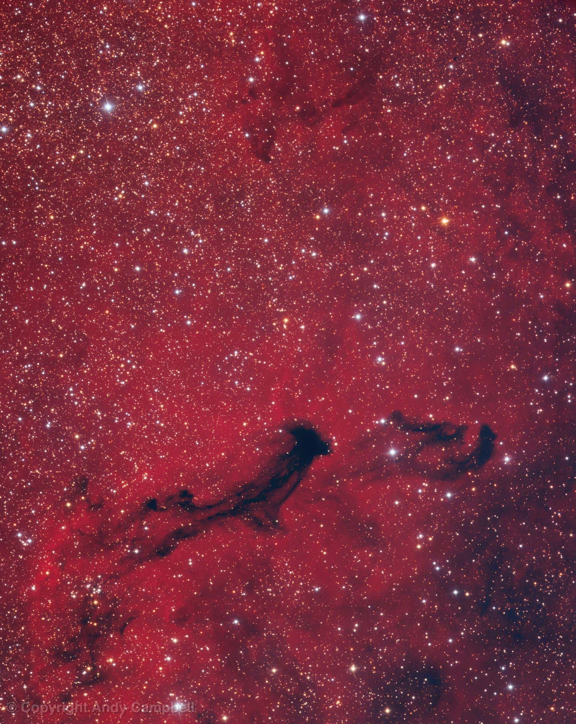 Barnard 93 - The Leaping Puppy | Andy's Astropix